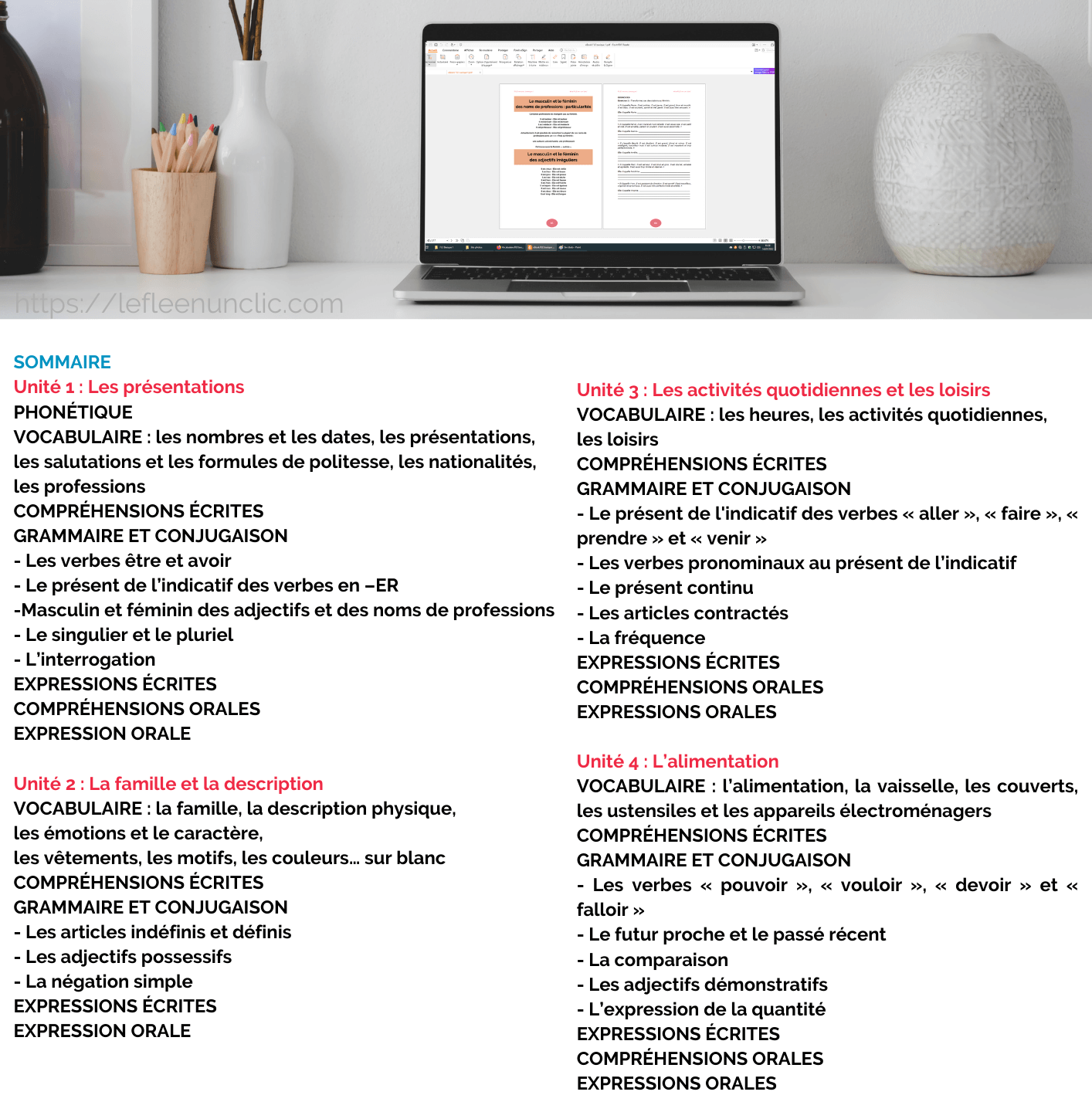 Cours de Français Langue Étrangère niveau basique 1 (A1) – le FLE en un ...